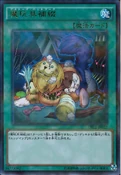 Set Card Galleries:Dimension Box Limited Edition (OCG-JP) | Yu-Gi-Oh! Wiki | Fandom