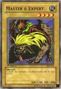 Card Gallery:Master & Expert | Yu-Gi-Oh! Wiki | Fandom