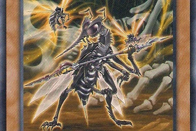 Number 66 Master Key Beetle