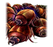 Card Gallery:Swarm of Scarabs | Yu-Gi-Oh! Wiki | Fandom