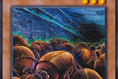 Swarm Of Locusts Yugioh