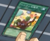 Card Gallery:Token Thanksgiving | Yu-Gi-Oh! Wiki | Fandom