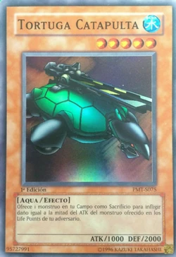 Inmunidad perdonar Mata tortuga catapulta vestirse Apropiado cáncer