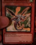 Card Gallery:Dragunity Brandistock | Yu-Gi-Oh! Wiki | Fandom