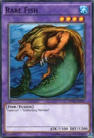 Fish | Yu-Gi-Oh! Wiki | Fandom