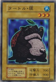 Card Artworks:Turtle Raccoon | Yu-Gi-Oh! Wiki | Fandom