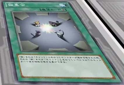 Card Gallery:Cat Meeting | Yu-Gi-Oh! Wiki | Fandom