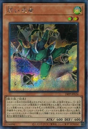 Card Errata:Green Ninja | Yu-Gi-Oh! Wiki | Fandom