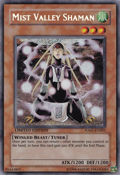 Mist Valley Shaman Art