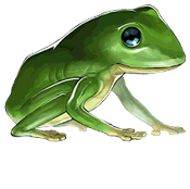 Card Gallery:Des Frog | Yu-Gi-Oh! Wiki | Fandom