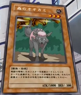 Card Gallery:Forest Wolf | Yu-Gi-Oh! Wiki | Fandom