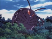 Card Gallery:Gokibore | Yu-Gi-Oh! Wiki | Fandom