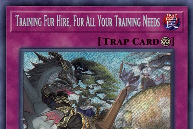 Inzektor Libelula Orica