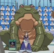Card Gallery:D.3.S. Frog | Yu-Gi-Oh! Wiki | Fandom