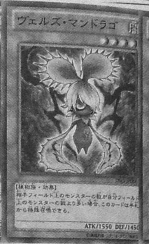 Evilswarm Mandragora (D Team) | Yu-Gi-Oh! Wiki | Fandom