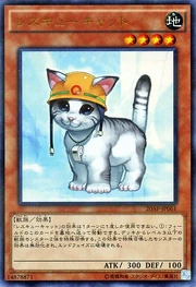 Card Errata:Rescue Cat | Yu-Gi-Oh! Wiki | Fandom