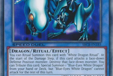 Paladin Of White Dragon