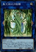 Card Gallery:Sunavalon Daphne | Yu-Gi-Oh! Wiki | Fandom