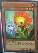 Card Gallery:Flowerbot | Yu-Gi-Oh! Wiki | Fandom