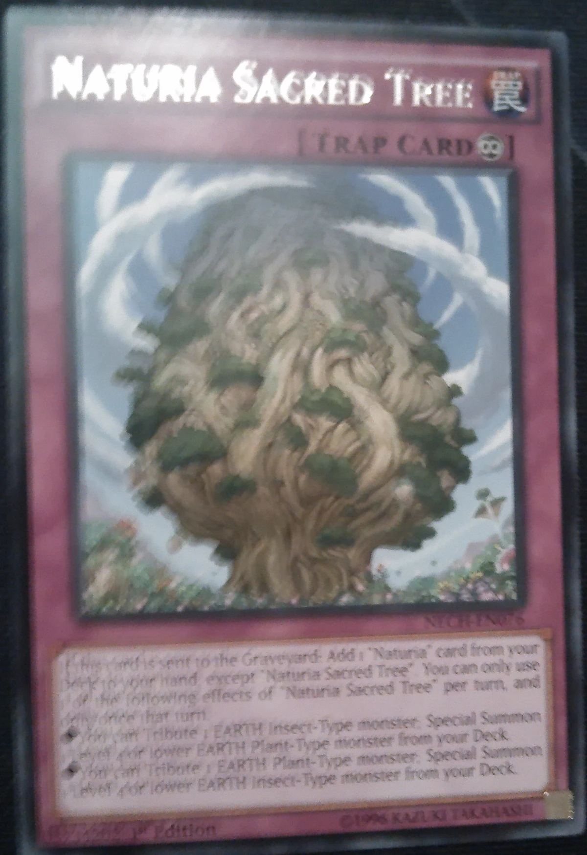 Card Gallery:Naturia Sacred Tree | Yu-Gi-Oh! Wiki | Fandom