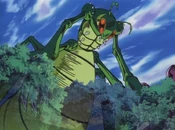 Card Gallery:Basic Insect | Yu-Gi-Oh! Wiki | Fandom