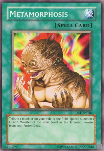 Card Gallery:Metamorphosis | Yu-Gi-Oh! Wiki | Fandom