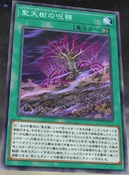 Card Gallery:Sunavalon Cursed Reborn | Yu-Gi-Oh! Wiki | Fandom