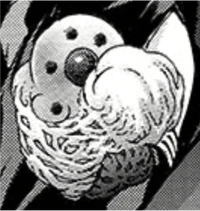 Strain Desmosome | Yu-Gi-Oh! Wiki | Fandom