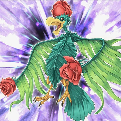 Bird of Roses (anime) | Yu-Gi-Oh! Wiki | Fandom