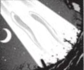 Overlay Unit Reborn | Yu-Gi-Oh! Wiki | Fandom