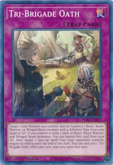 Tri-Brigade Oath | Yu-Gi-Oh! Wiki | Fandom