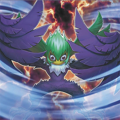 Blackwing - Gale the Whirlwind (anime) | Yu-Gi-Oh! Wiki | Fandom