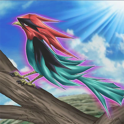 Blackwing - Jetstream the Blue Sky (anime) | Yu-Gi-Oh! Wiki | Fandom