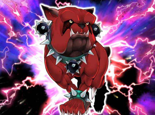 Perro D/D | Yu-Gi-Oh! Wiki en Español | Fandom