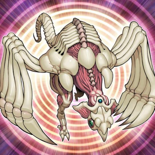 Dragón Armado Endurecido | Yu-Gi-Oh! Wiki en Español | Fandom