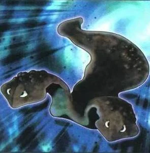 Planaria en División | Yu-Gi-Oh! Wiki en Español | Fandom