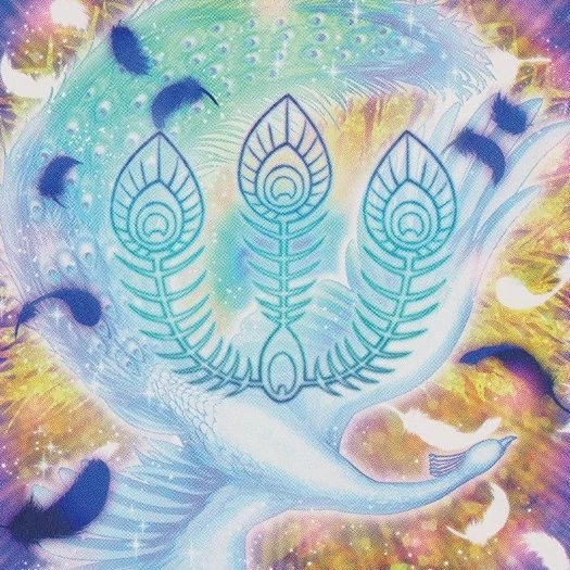 Ficha Shinobird | Yu-Gi-Oh! Wiki en Español | Fandom