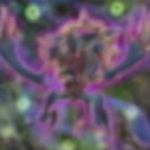 Regresador Tindángulo | Yu-Gi-Oh! Wiki en Español | Fandom