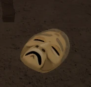 Kokoro | Yukkuri Hunt Wiki | Fandom