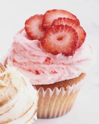 Cupcakes Wiki | Fandom