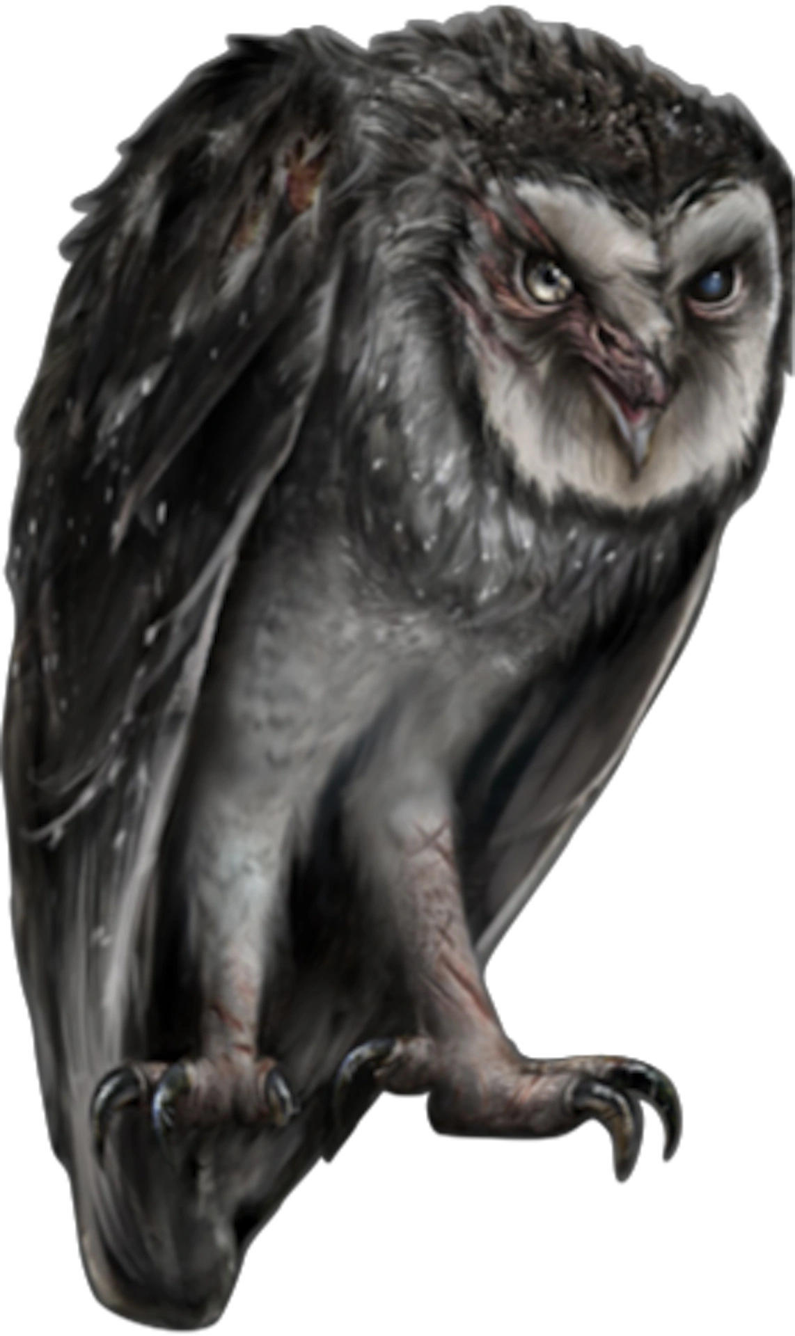 Metal Beak | Yuna's Princess adventure Wikia | Fandom