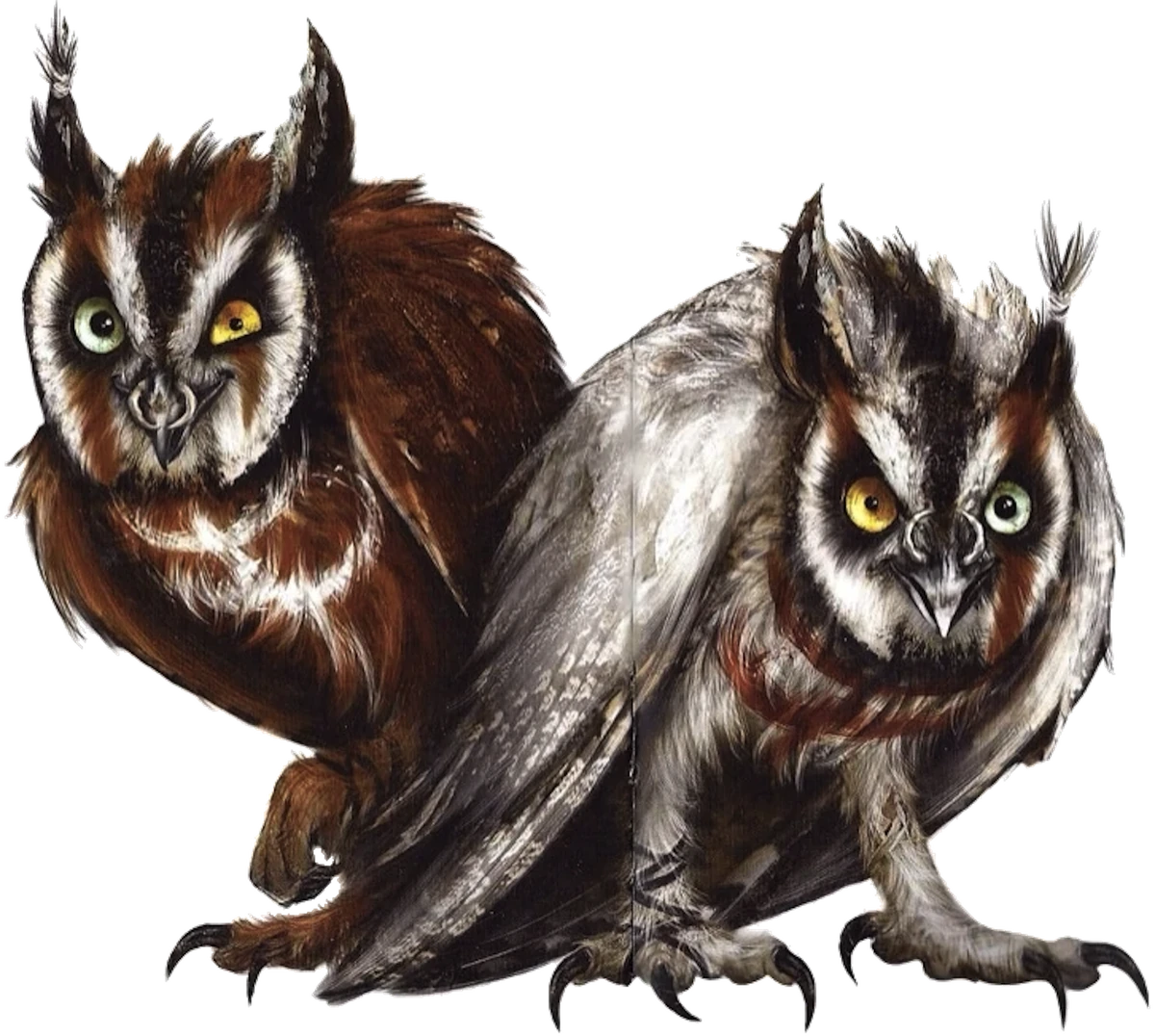 Jatt and Jutt | Yuna's Princess adventure Wikia | Fandom