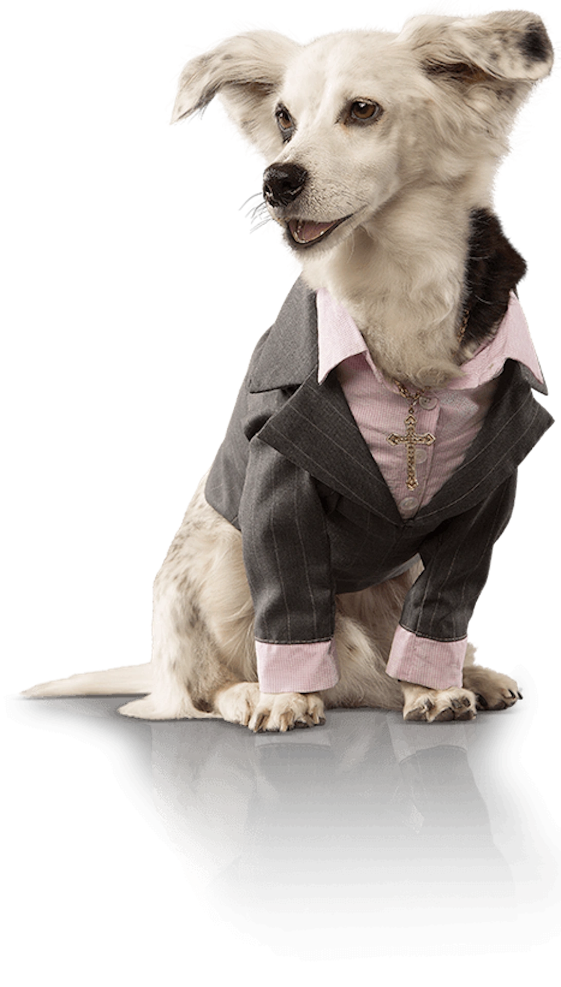 Julio (Pup Star) | Yuna's Princess adventure Wikia | Fandom