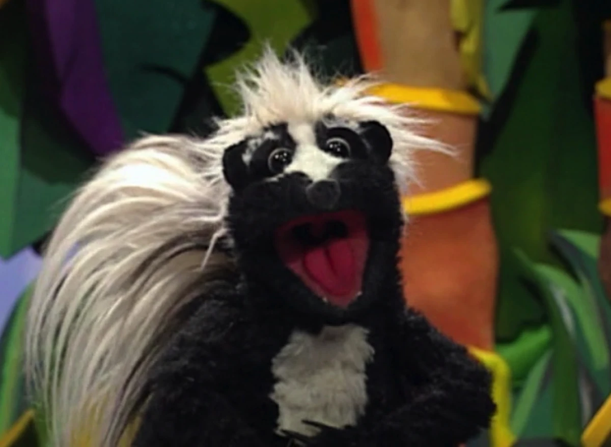 Stinky the Skunk | Yuna's Princess adventure Wikia | Fandom