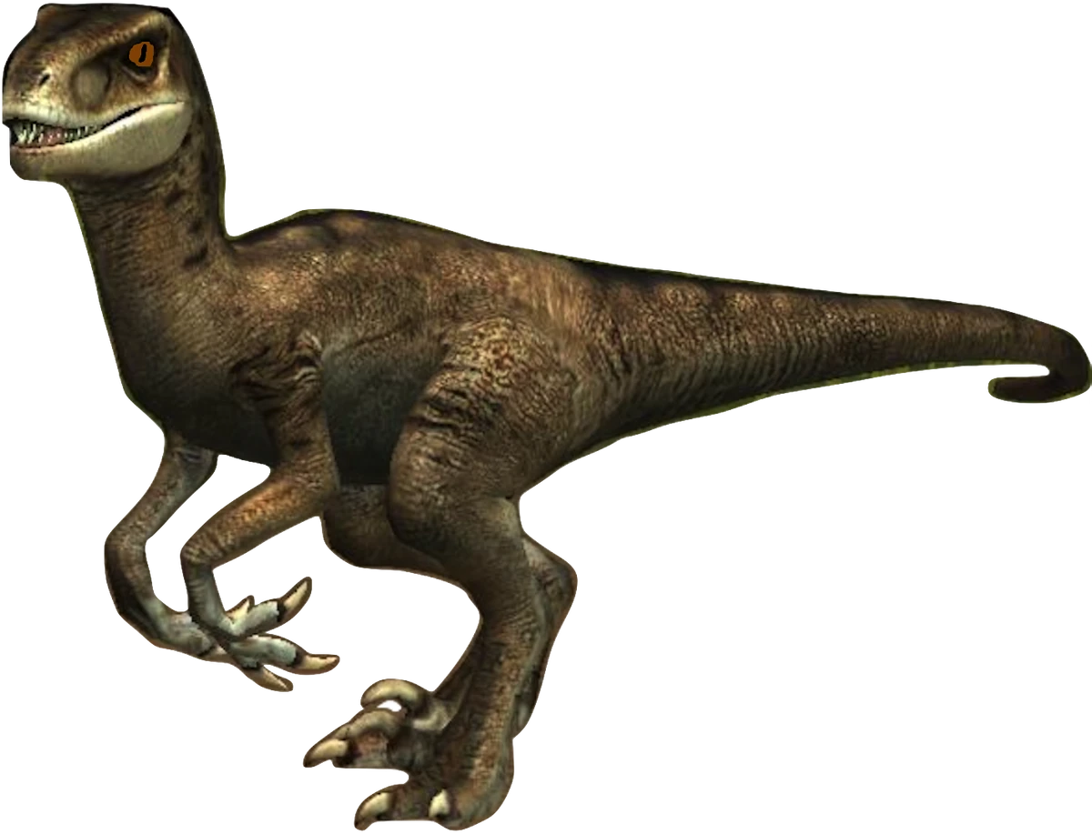 Paula (Velociraptor) | Yuna's Princess adventure Wikia | Fandom