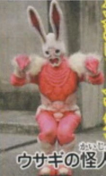 Pink Rabbit Imagin | Yuna's Princess adventure Wikia | Fandom