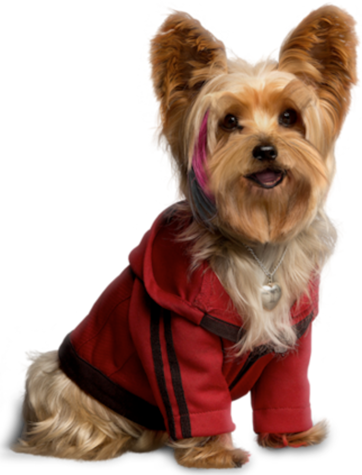 Scrappy Yunas Princess Adventure Wikia Fandom