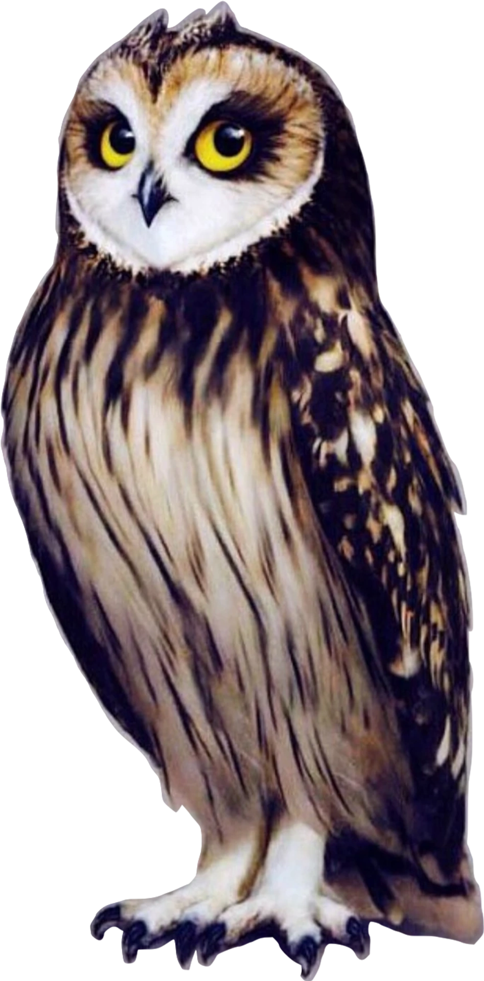 Otulissa | Yuna's Princess adventure Wikia | Fandom