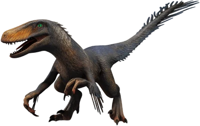 Sunny (Utahraptor) | Yuna's Princess adventure Wikia | Fandom