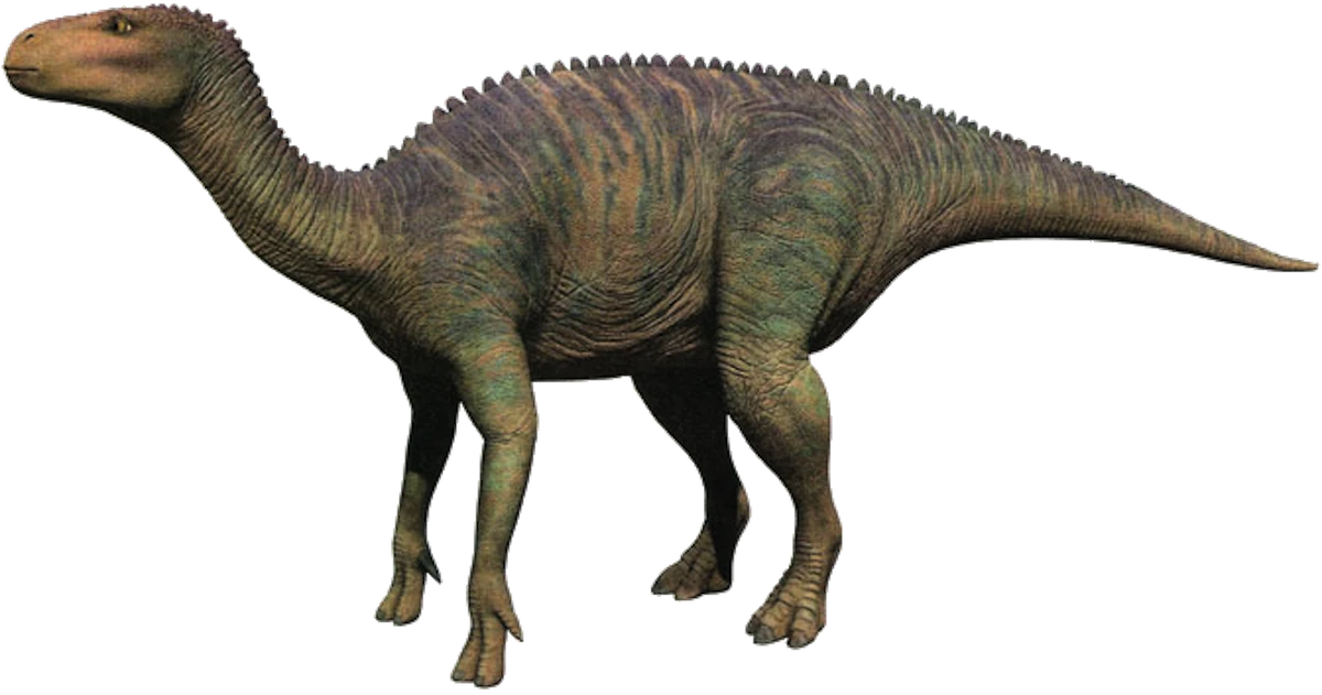 Neera | Yuna's Princess adventure Wikia | Fandom